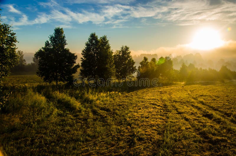 Rural Road on a Warm Summer Morning in Fog Stock Image - Image of ...