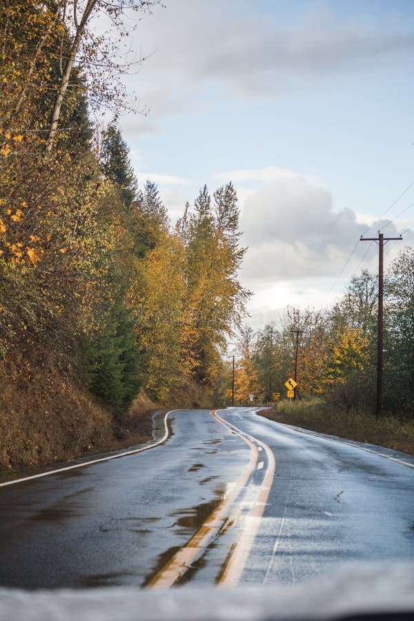 212 Driving Wet Leaves Road Stock Photos - Free & Royalty-Free Stock ...