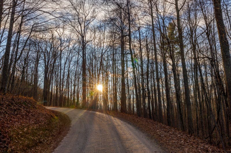 Rural Road Winding through a Wooded Area Stock Image - Image of forest ...