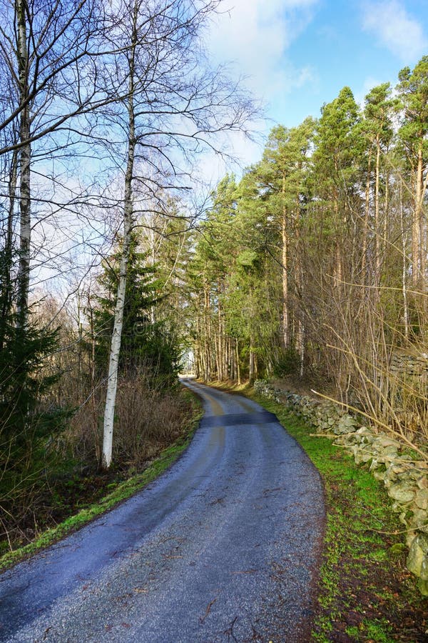 A Rural Road Winding through the Woods on Sunny Day. Stock Image ...