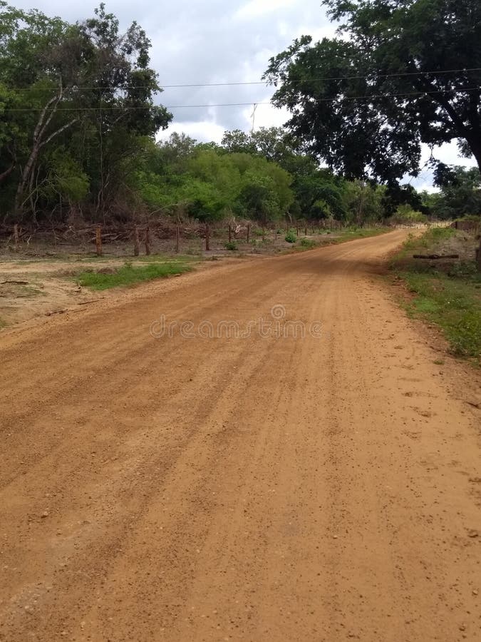 Rural Roads Brazil stock photo. Image of roads, maranho - 107289620