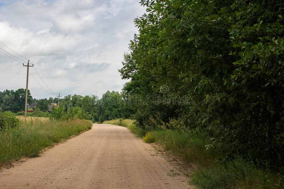 Rural Sandy Road among Field and Forest Stock Image - Image of climate ...