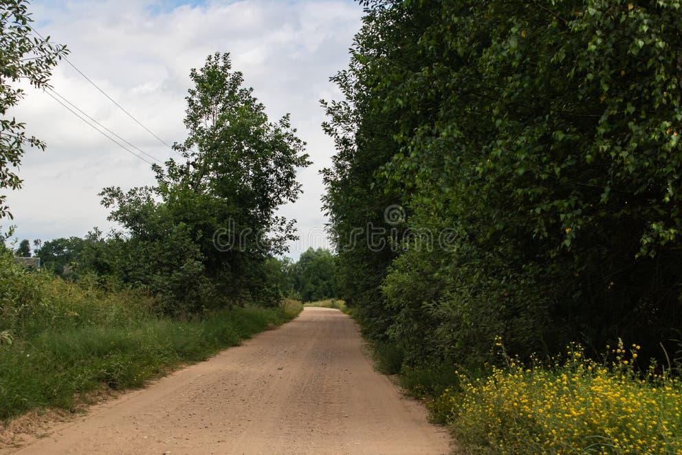 Rural Sandy Road among Field and Forest Stock Image - Image of ...