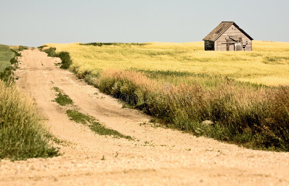 Rural Saskatchewan stock photo. Image of field, agriculture - 23987288