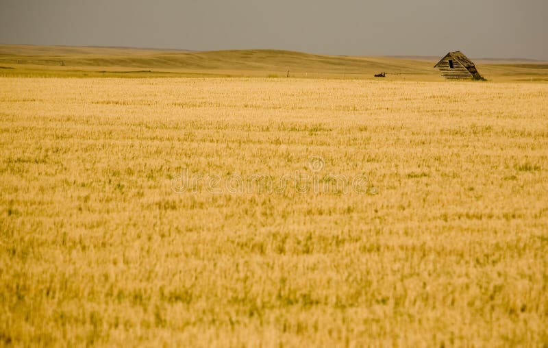 Rural Saskatchewan stock image. Image of rural, colorful - 23987365