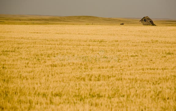 Rural Saskatchewan stock image. Image of rural, colorful - 23987365