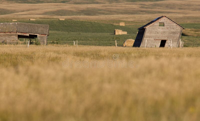 Rural Saskatchewan stock photo. Image of thunderhead - 23987536