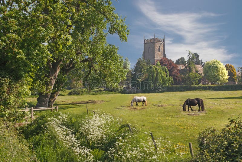A Rural Scene stock image. Image of horses, hedge, countryside - 15843173