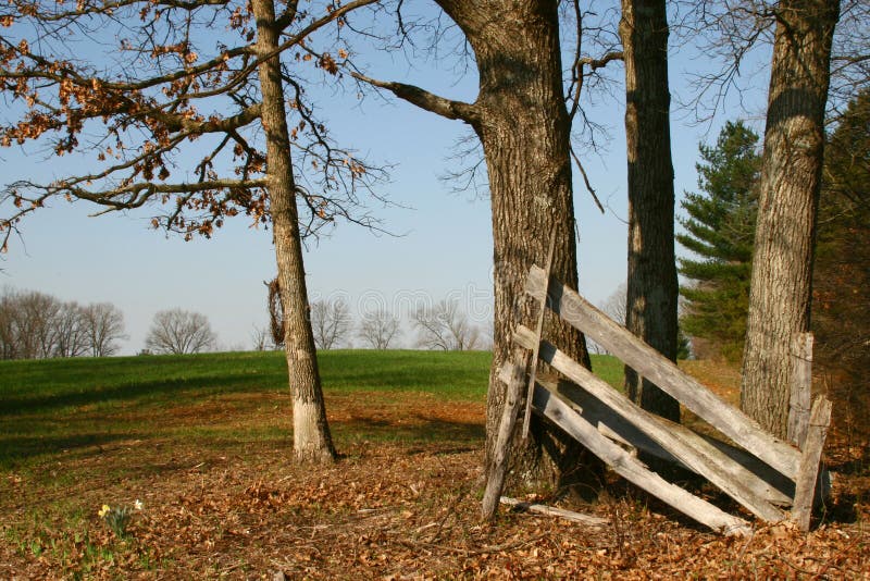 Rural scene stock photo. Image of nature, rural, trees - 2165874