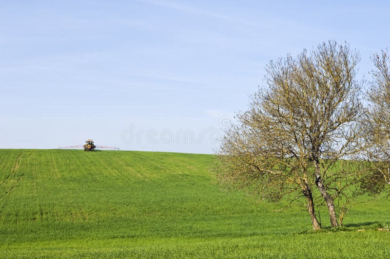 Rural scene stock photo. Image of farmland, lone, agriculture - 4168470