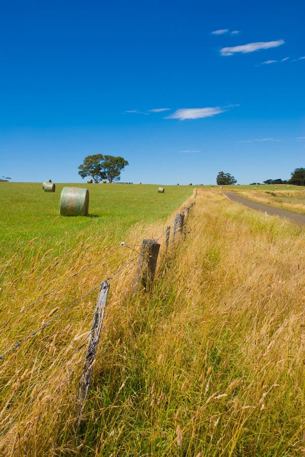 Beautiful Country Australian Sunrise Stock Image - Image of meadow ...