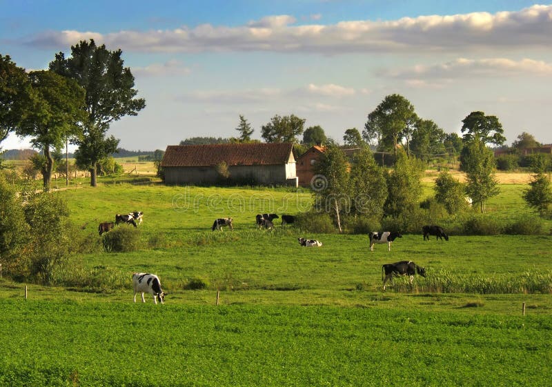 Rural scene stock image. Image of green, idyllic, clouds - 634503