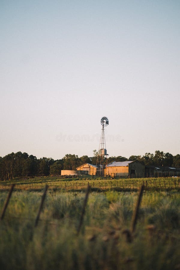 Rural Scene with Agricultural Buildings in the Background Stock Photo ...