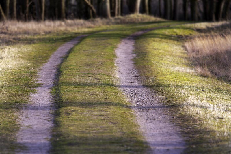 Rural scene stock image. Image of field, forest, selective - 38755043