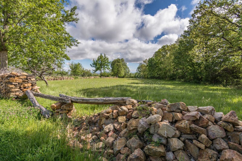 Rural Scene on a Farm in Spring Stock Photo - Image of landscape ...