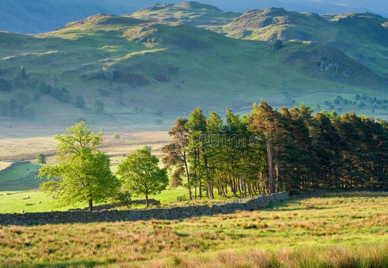 Rural Field Scene In The Lake District Stock Image - Image of cumbria ...