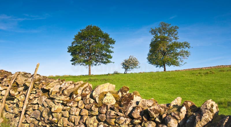 Rural Scene, Lake District, UK Stock Photo - Image of morning ...
