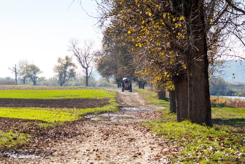 Rural scene stock photo. Image of park, nature, foliage - 61793154