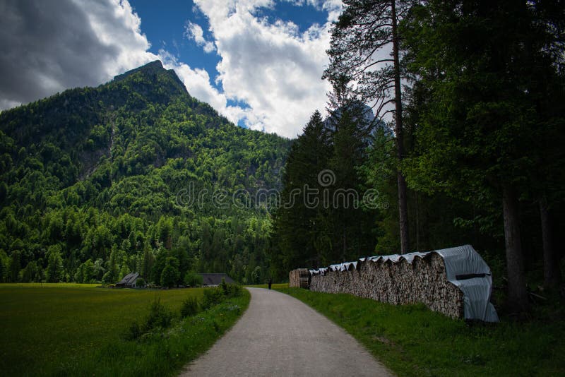 Rural Scene Surrounded by Lush Forest Stock Image - Image of hill ...