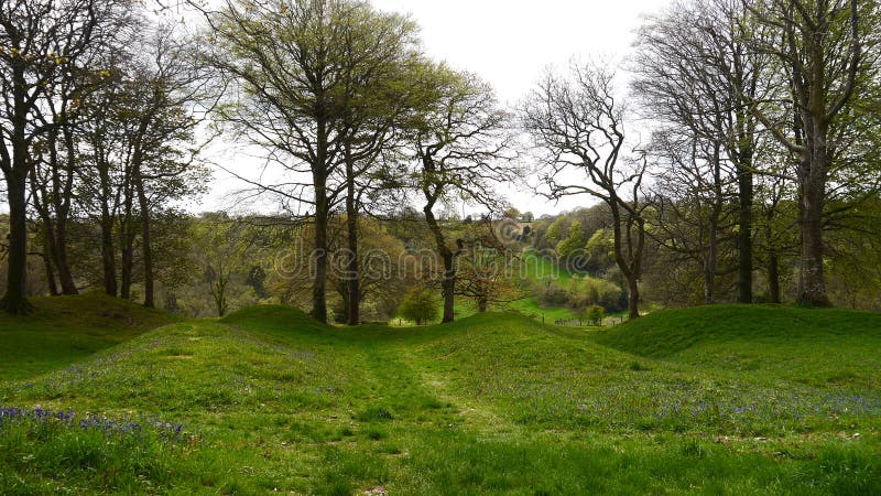 Rural Spring Scene in the Countryside of Devon South West England Stock ...