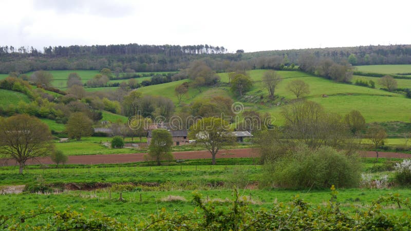 Rural Spring Scene in the Countryside of Devon South West England Stock ...