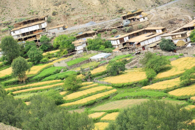 Tibet s rural areas stock photo. Image of chaiduo, full - 11399850
