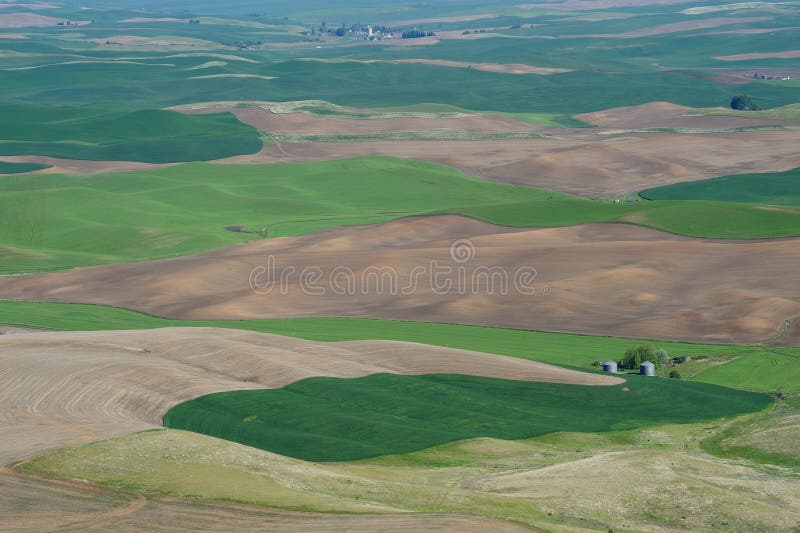 Rural scene of wheat field stock image. Image of steptoe - 16863475