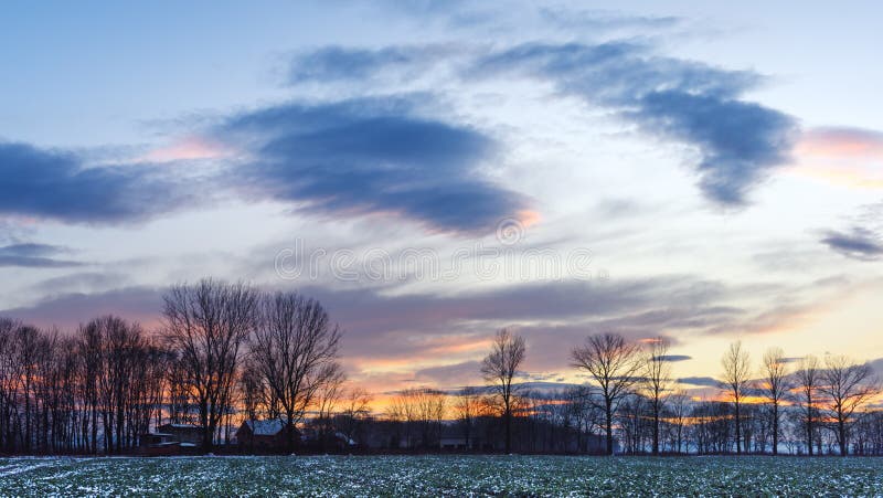 Rural Scene on Winter Field in the Rays of the Setting Sun. Stock Image ...
