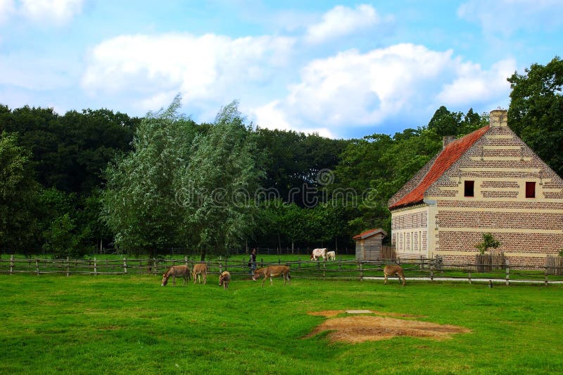 Rural scenery stock photo. Image of scenic, green, homely - 15280556