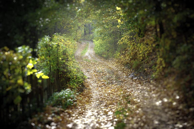 Rural Scenery Picture. Image: 15261927