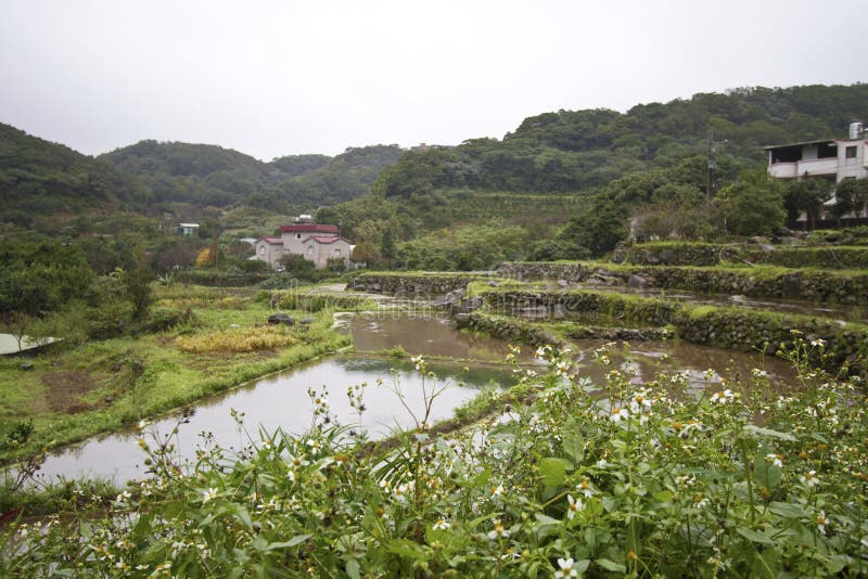 Rural scenery stock image. Image of ecology, leaf, fields - 28038491
