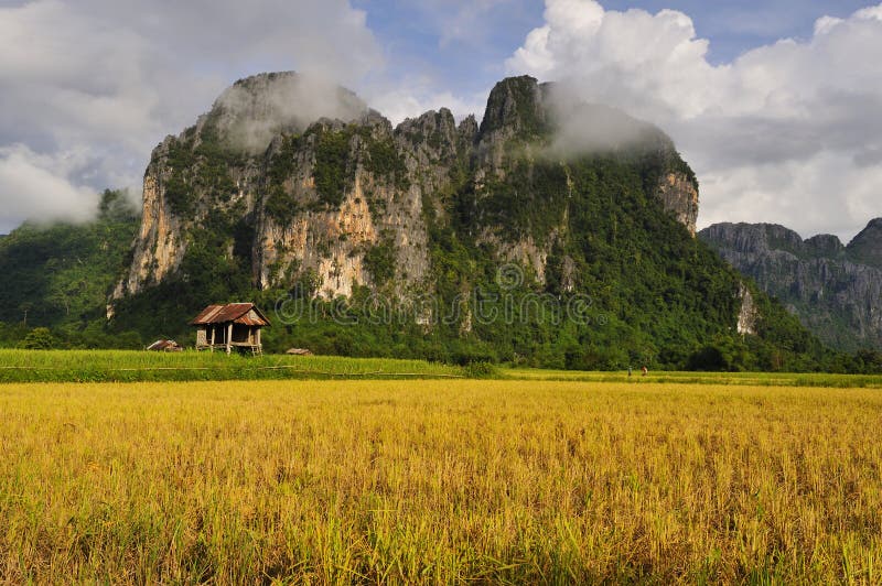 Rural scenery stock image. Image of cloud, rice, pastoral - 7282639