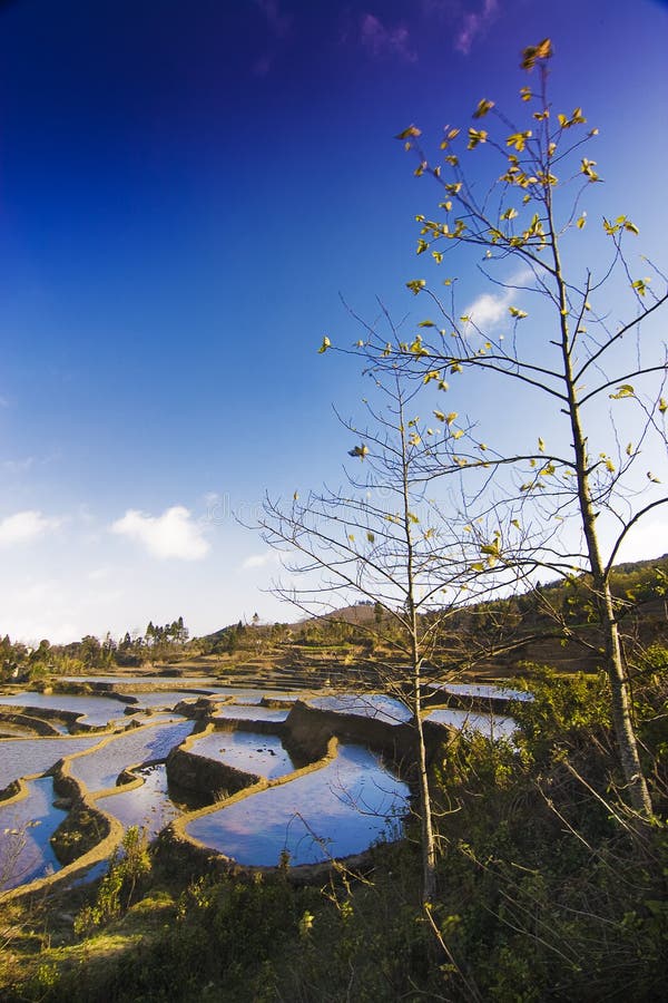 Rural Scenery Picture. Image: 8020473