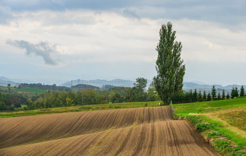 Rural Scenery in Biei, Japan Stock Image - Image of land, hokkaido ...