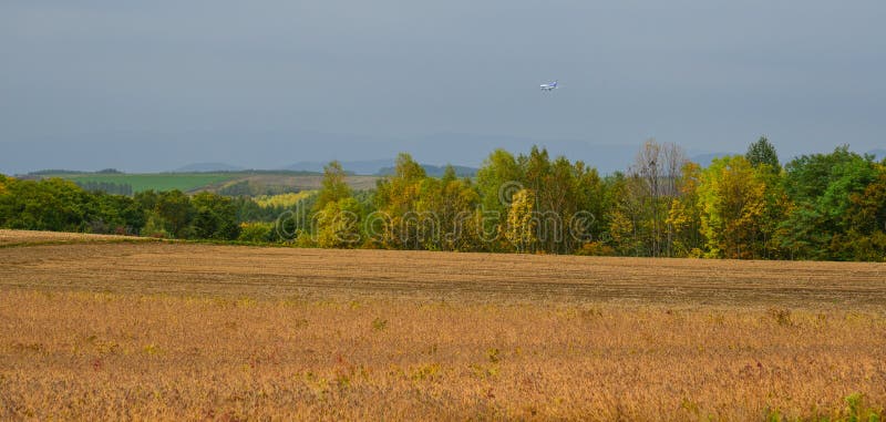 Rural Scenery in Biei, Japan Stock Image - Image of grass, asia: 150277233