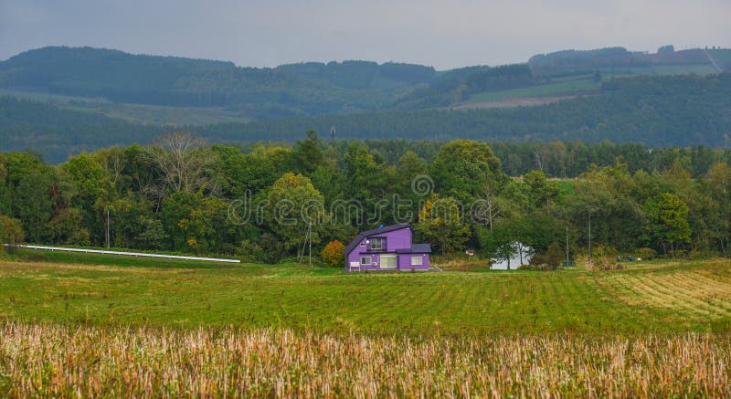 Rural Scenery in Biei, Japan Stock Photo - Image of field, panorama ...