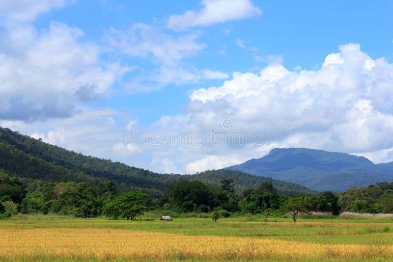 Rural Scenery stock photo. Image of scenery, area, harvest - 33933520