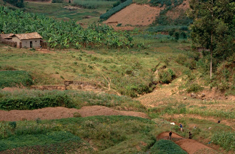 Uganda, rural region editorial stock photo. Image of rural - 61844733