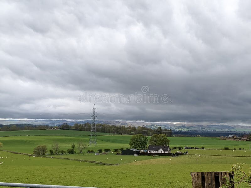 Rural Scotland - Green Fields and Agriculture Landscape in Spring Stock ...