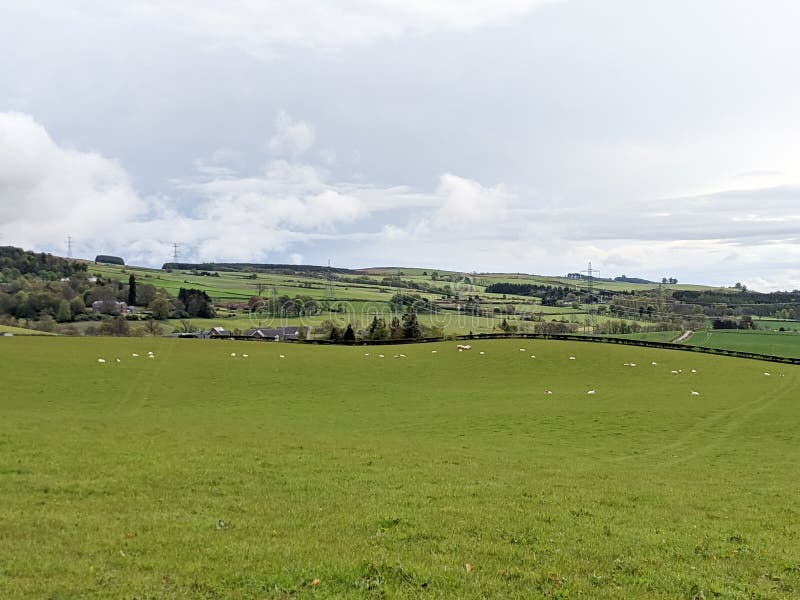 Rural Scotland - Green Fields and Agriculture Landscape in Spring Stock ...