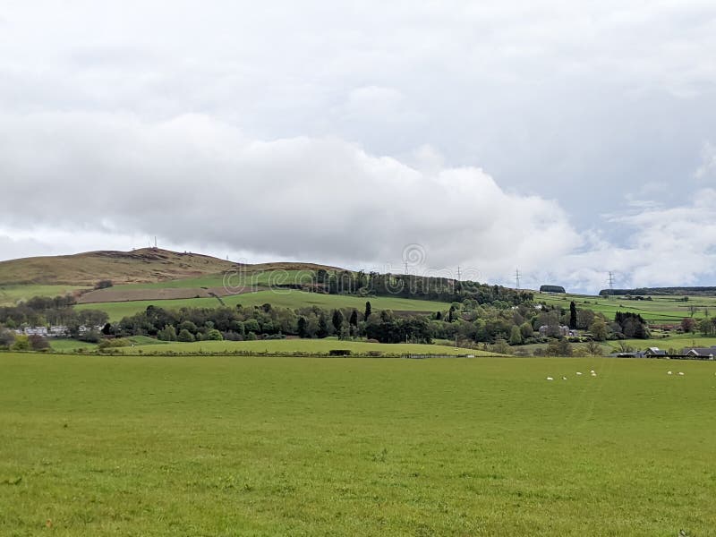 Rural Scotland - Green Fields and Agriculture Landscape in Spring Stock ...