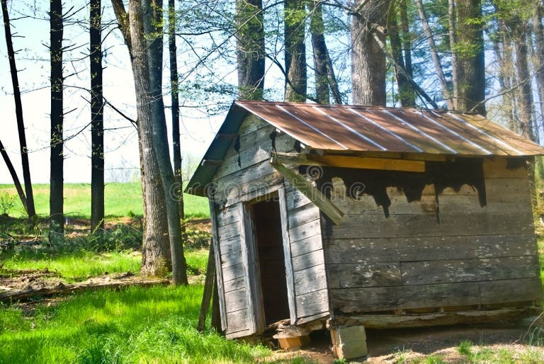 Rural Shack on Edge of Woods Stock Photo - Image of door, desolate ...