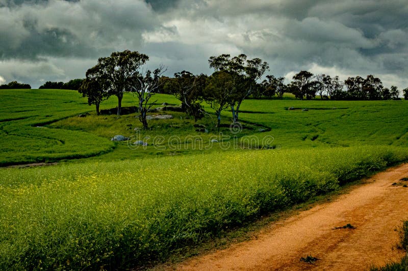 Rural Splendor stock photo. Image of farm, green, countryside - 311952280