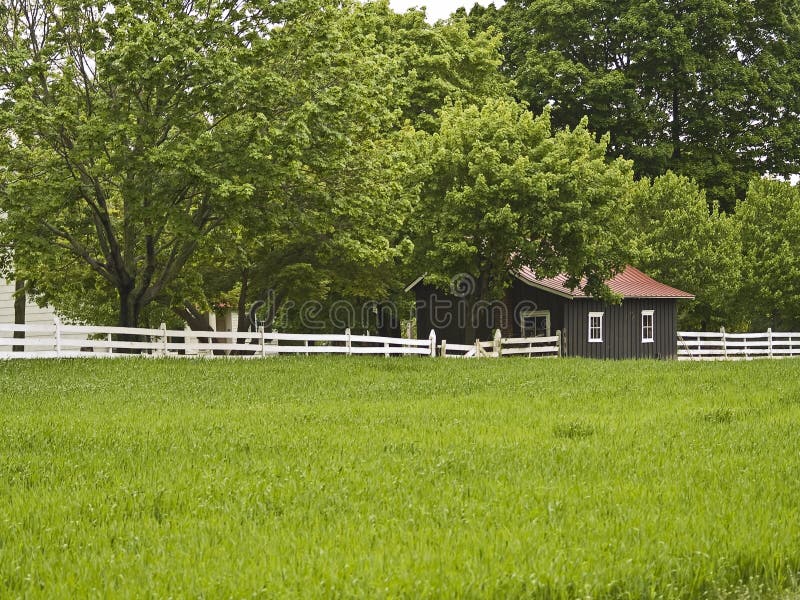Rural Spring stock image. Image of rural, farm, trees - 8656007
