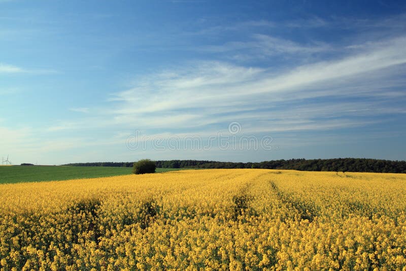 Rural spring landscape stock photo. Image of landscape - 22956092