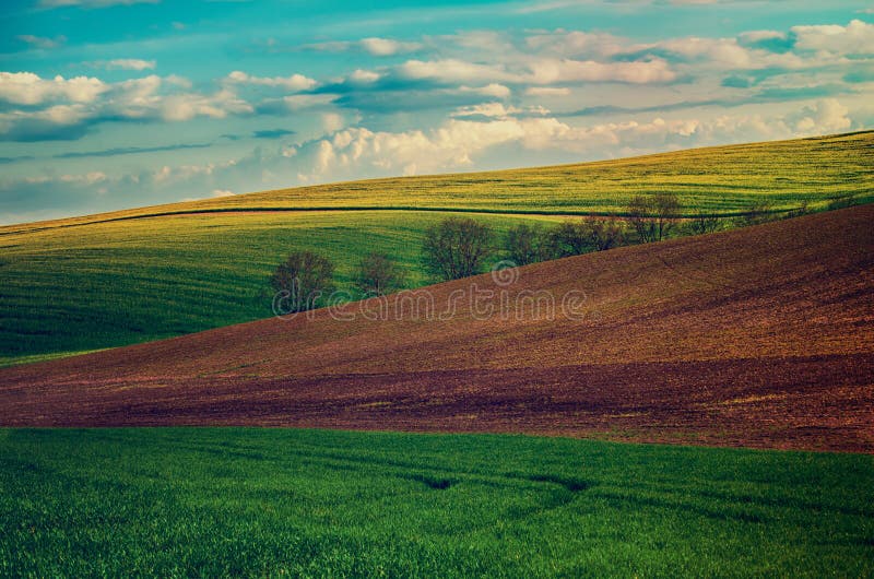 Rural spring landscape stock image. Image of lines, agriculture - 173253969