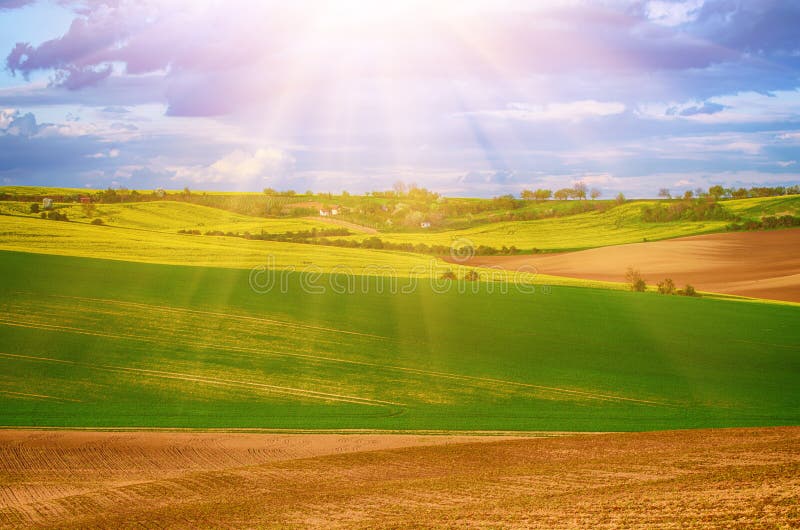 Rural spring landscape stock image. Image of lines, agriculture - 173253969