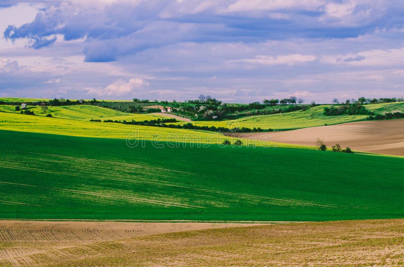 Rural spring landscape stock photo. Image of background - 202169704