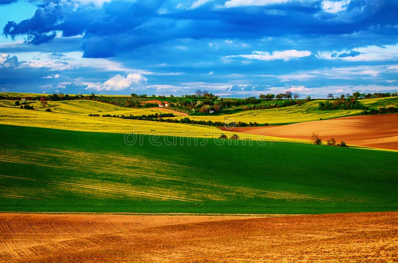 Rural spring landscape stock image. Image of grass, lines - 215880847