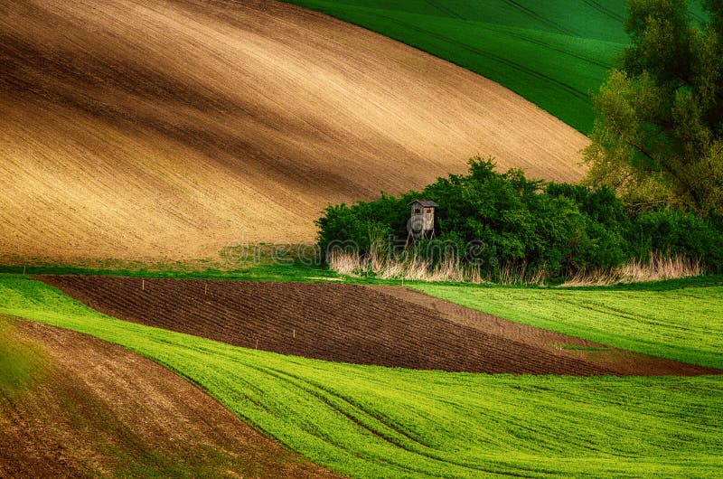 Rural spring landscape stock photo. Image of light, hill - 202177822